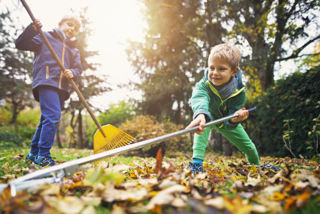 How Yard Waste Removal Helps with Summer Chores | Junk Busters