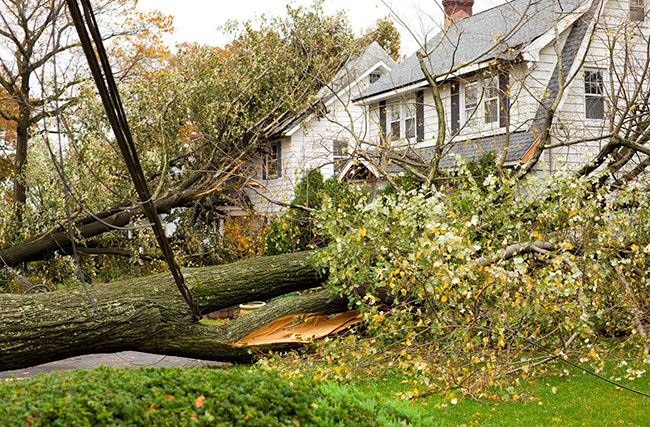 How Storm Debris Cleanup Keeps You Safe | Junk Busters